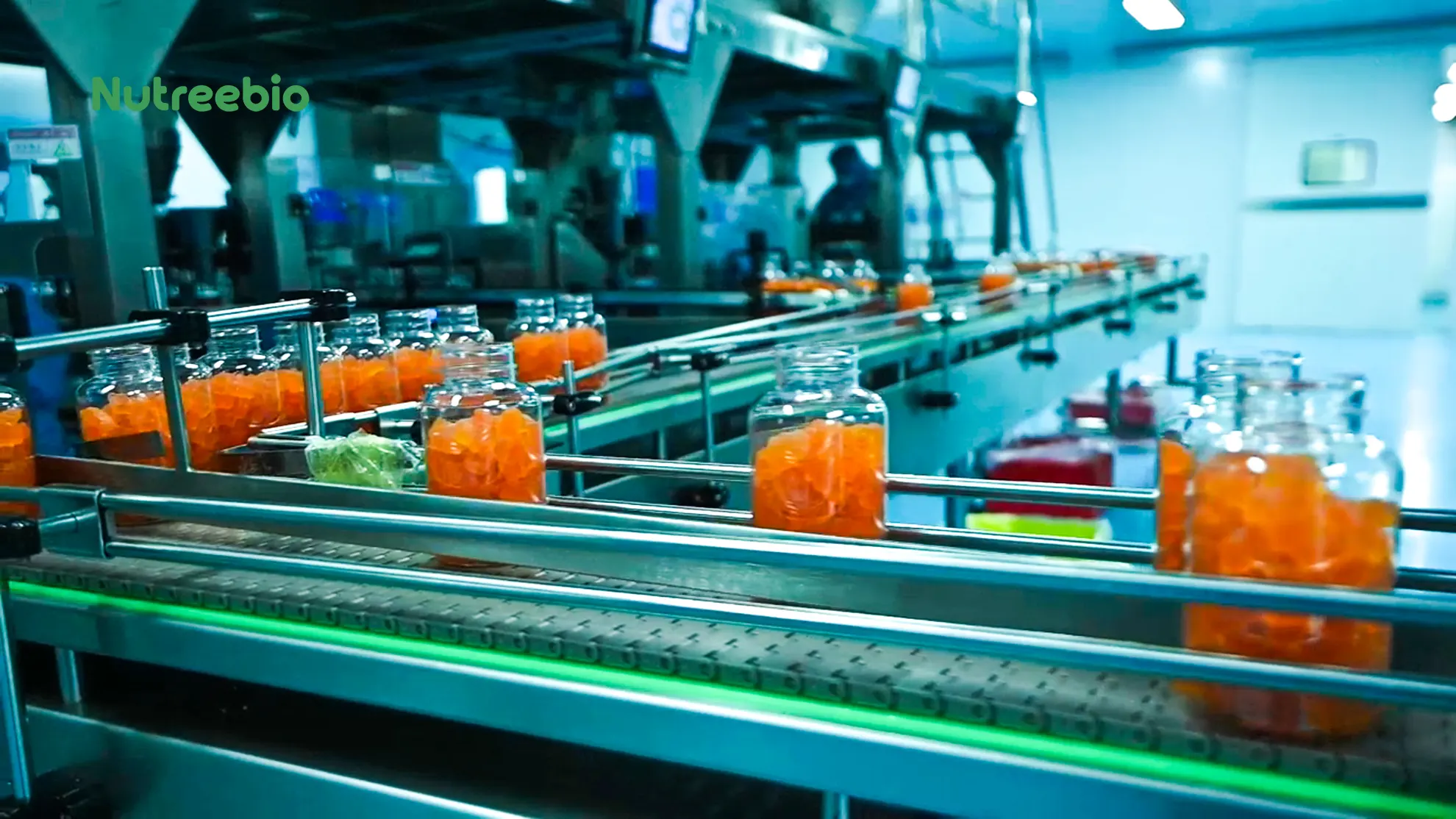 How Gummies Are Made | Nutreebio Supplement Factory